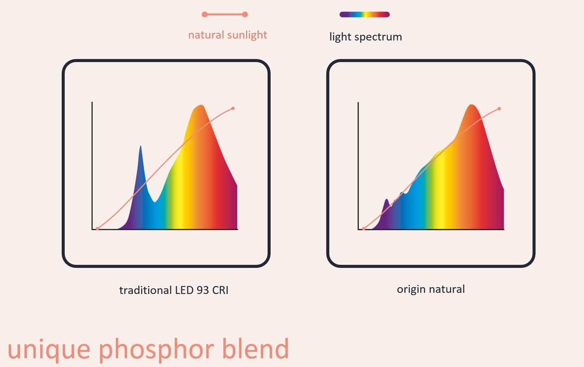 Sustainable Lighting: A Conversation Craig Turner and Orluna Stems